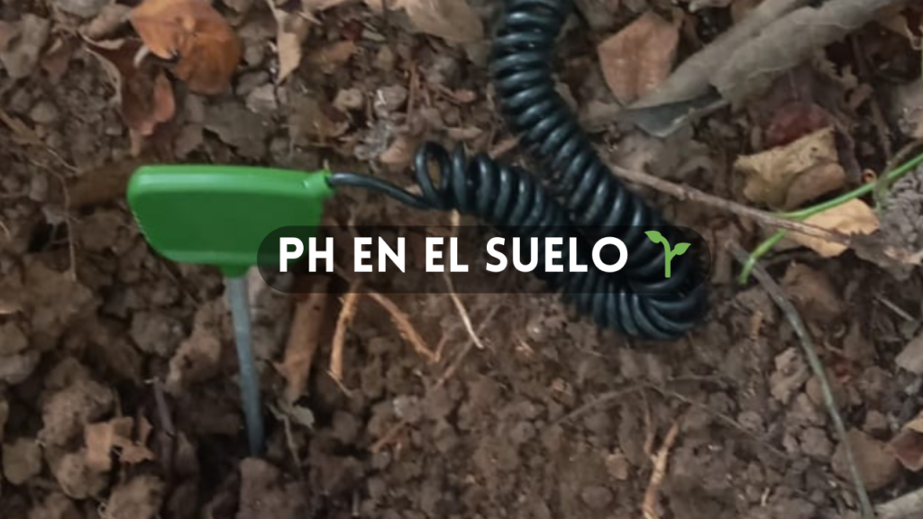 Ph en las plantas: como influye el pH, y cual es el ph ideal. - Plantas ...